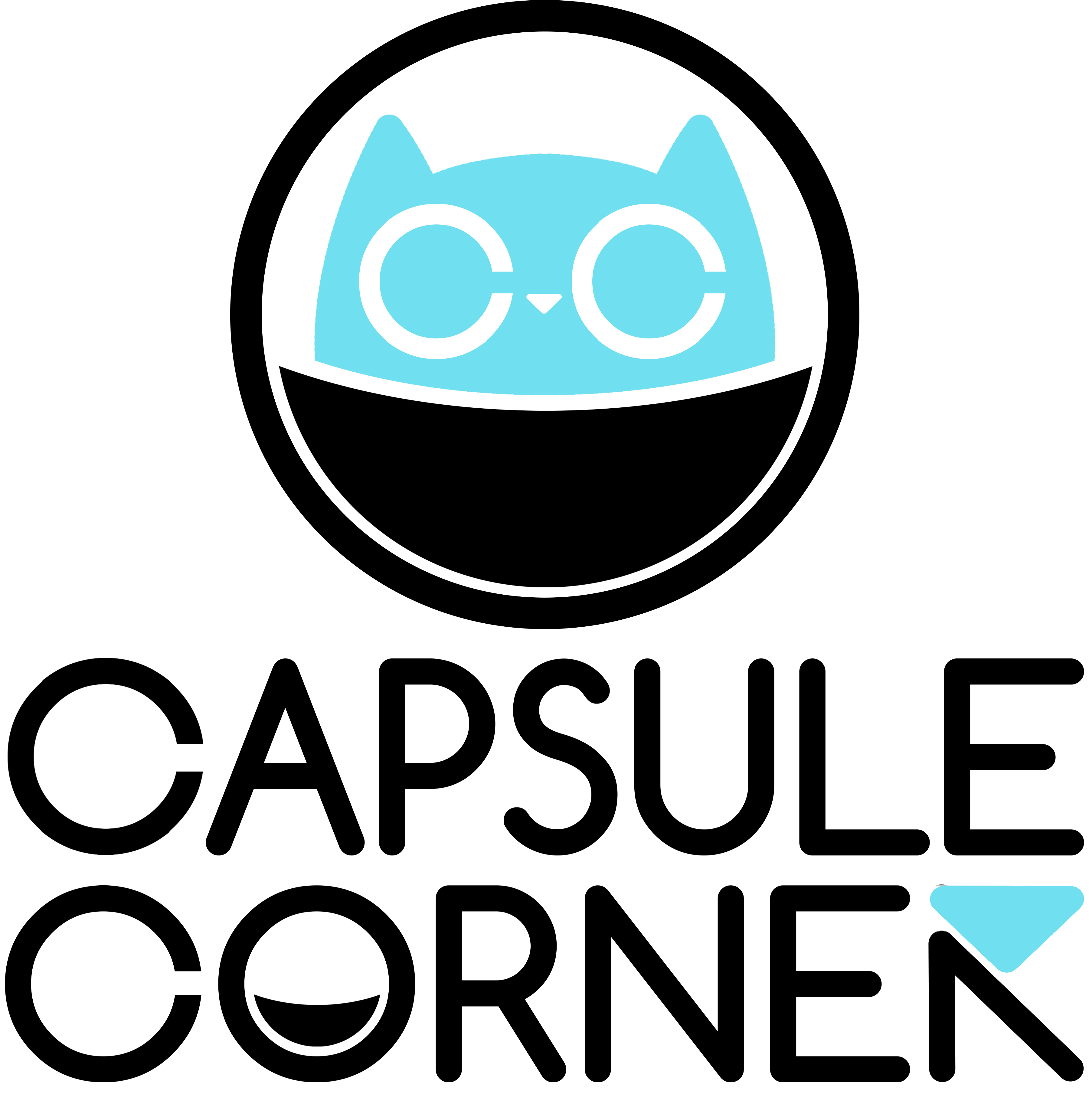 CapsuleCornerLogo – CAPSULE CORNER